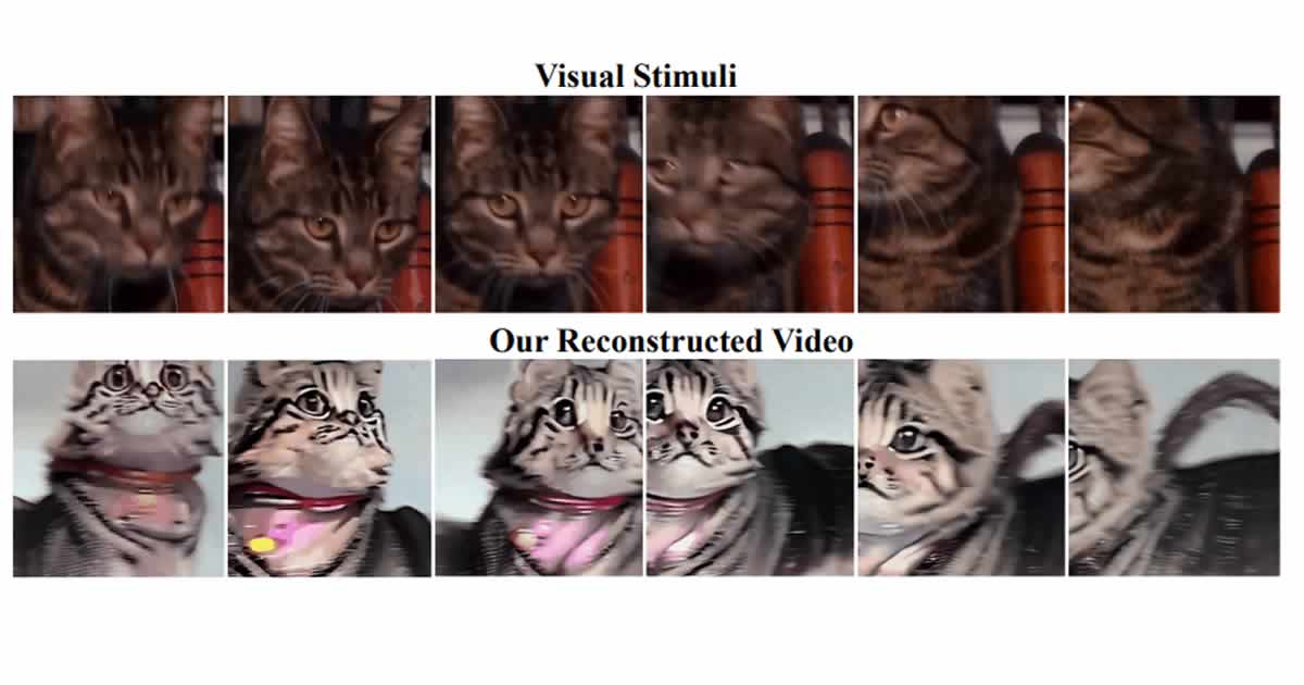 Decoding the Mind: AI Successfully Reconstructs High-Quality Videos ... Decoding the Mind: AI Successfully Reconstructs High-Quality Videos ...